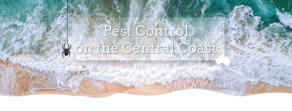 Home - Coast Pest Control